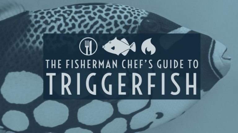Triggerfish: What it Tastes Like & How to (Safely) Cook It | Upland Coast