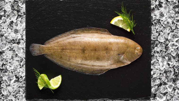 Triggerfish: What it Tastes Like & How to (Safely) Cook It | Upland Coast