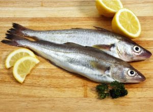 Whiting: What it Tastes Like & How to Cook It | Upland Coast