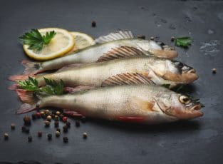Perch: What It Tastes Like & How to Cook It | Upland Coast