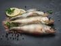 Perch: What It Tastes Like & How to Cook It | Upland Coast